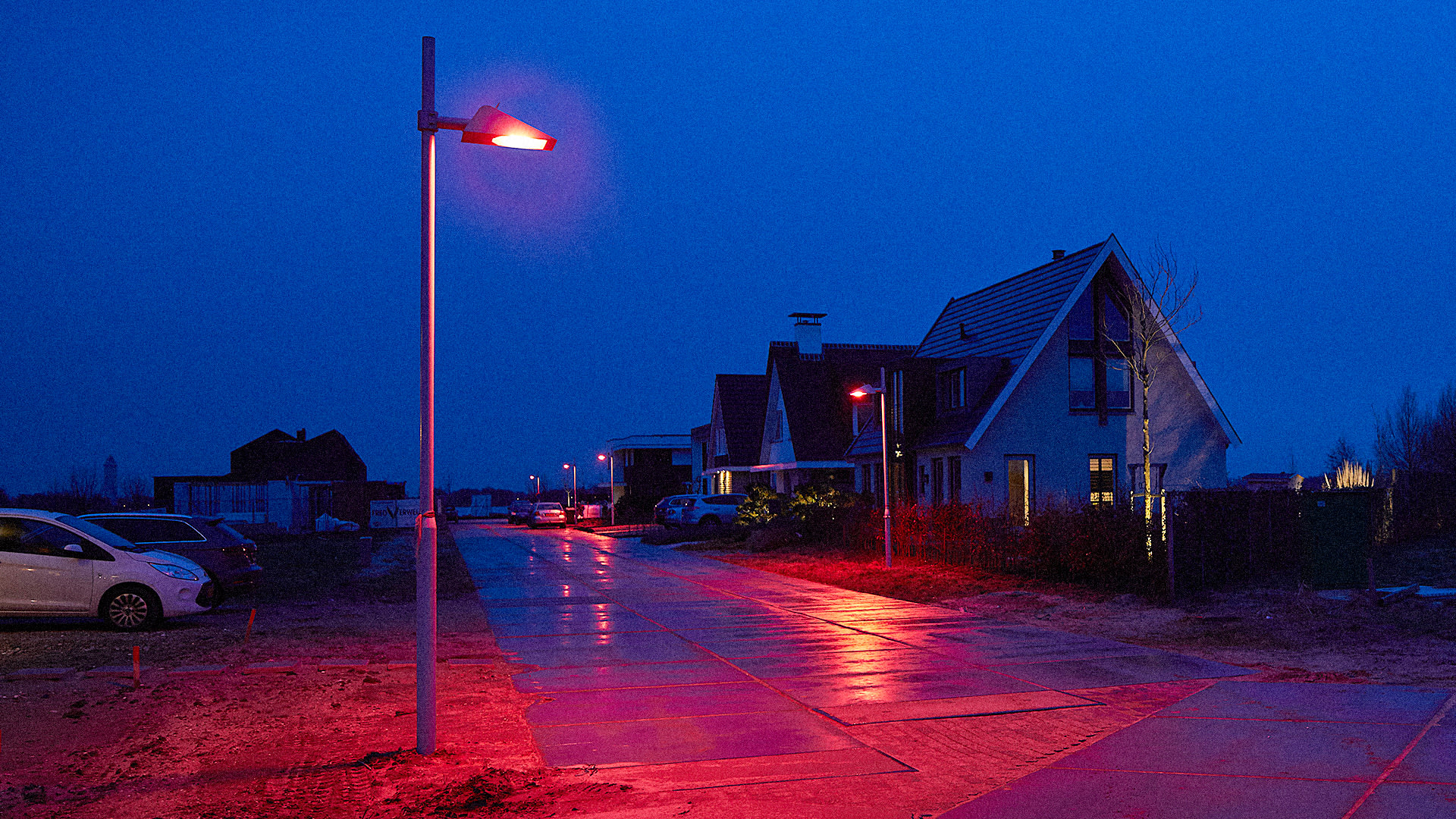 These bat-friendly lights show how to make cities safe for nature ...