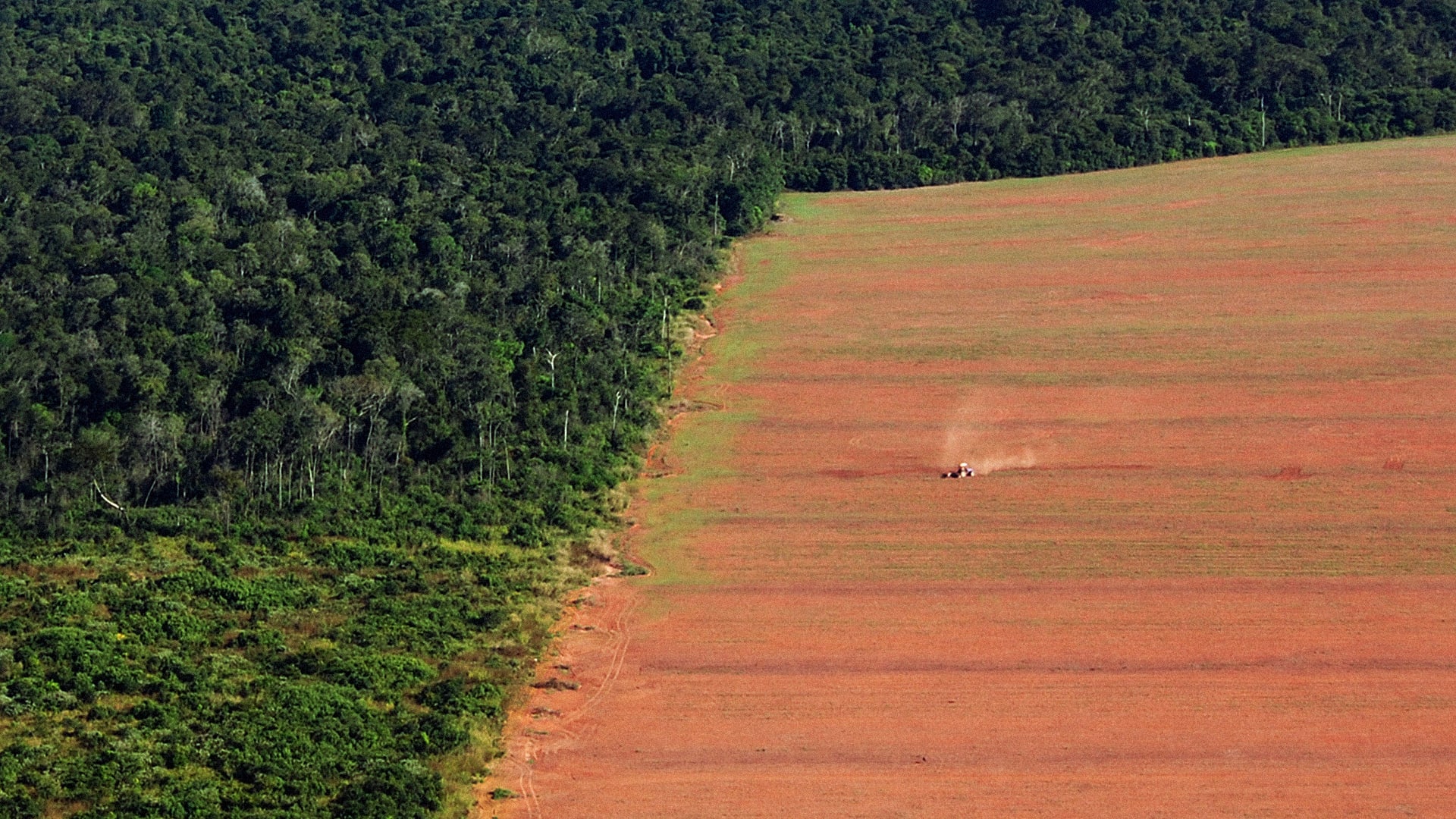 Watch how easy it is for companies to take indigenous land - Fast Company