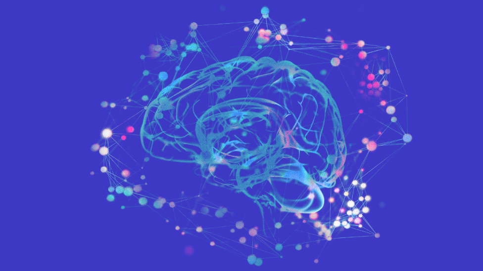 Would you plunk down $30,000 to get the most from your brain? - Fast ...