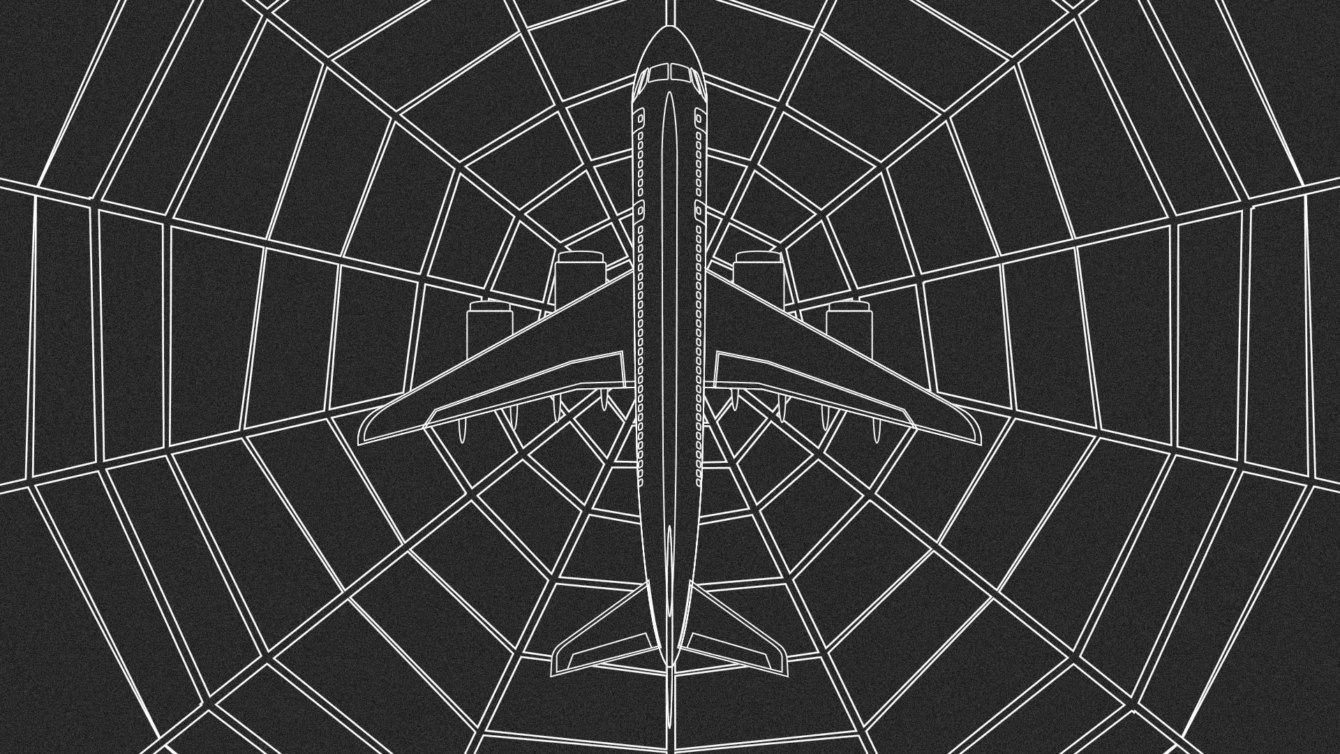 The airplane of the future might have synthetic spider silk inside it ...