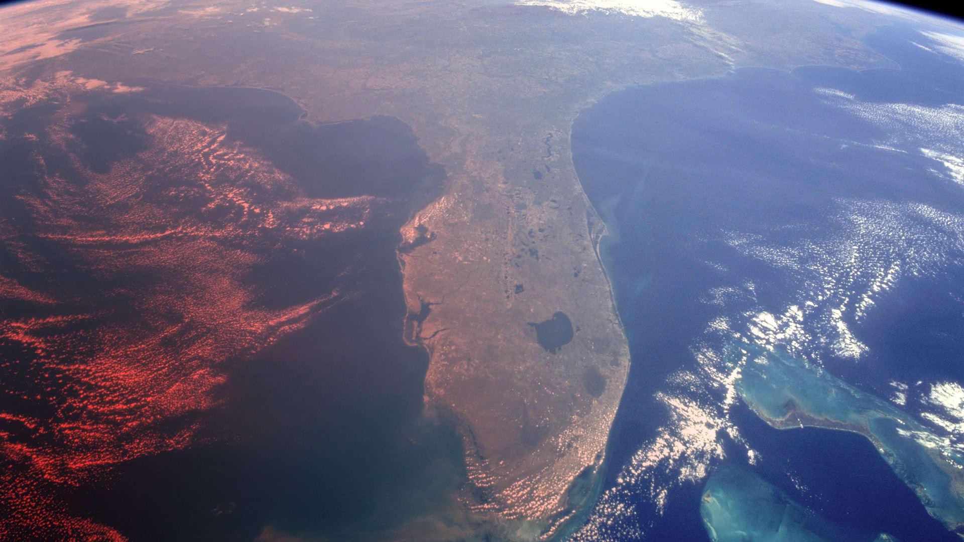 The hunt for red tide relies upon AI and retirees - Fast Company