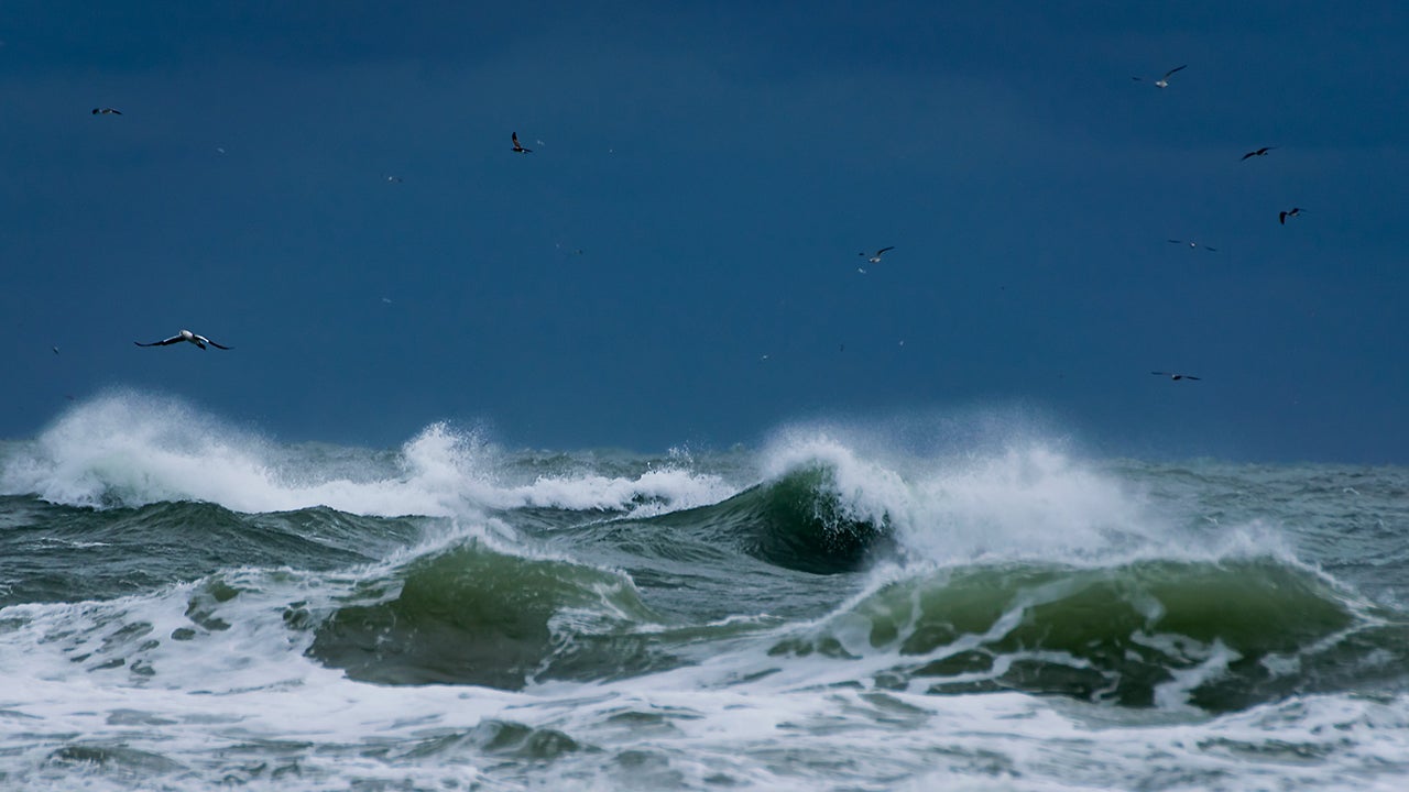 4 ways to track the monstrous Hurricane Willa - Fast Company