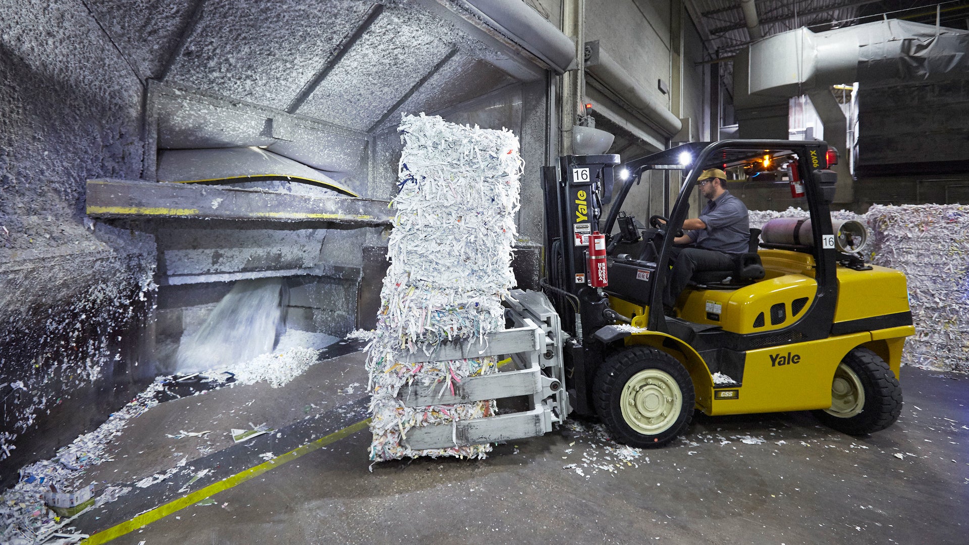 Starbucks recycled 25 million old paper coffee cups into new cups ...