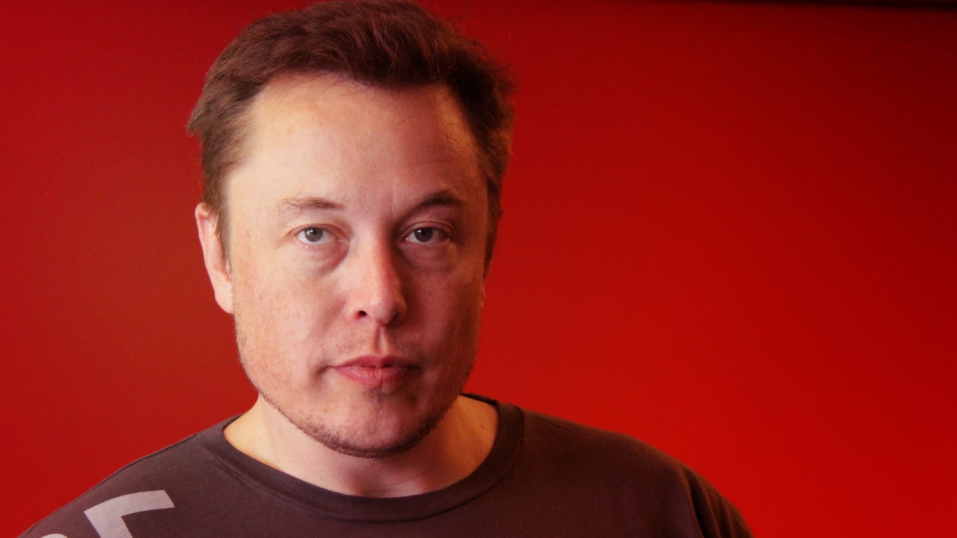 A fake verified "Elon Musk" tried to scam people out of bitcoin on ...