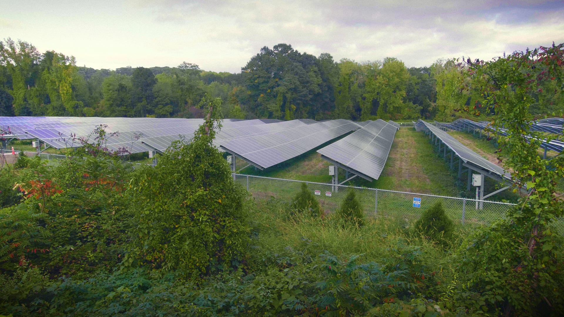 This old coal plant is now a solar farm, thanks to pressure from local ...