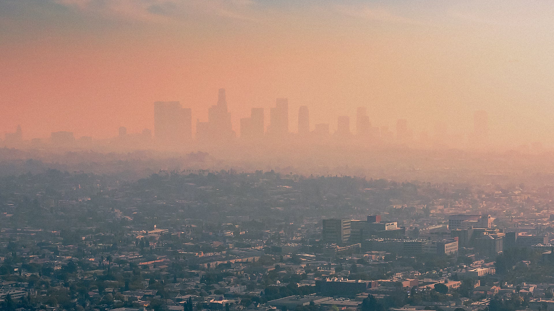 Bad air makes you bad at your job - Fast Company
