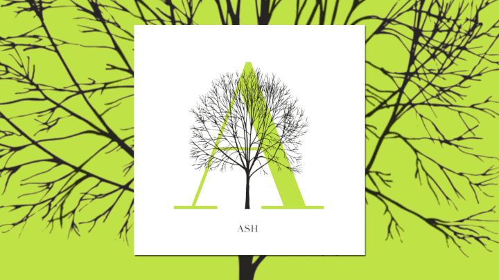 NYC is planting secret messages in parks using this typeface for trees ...