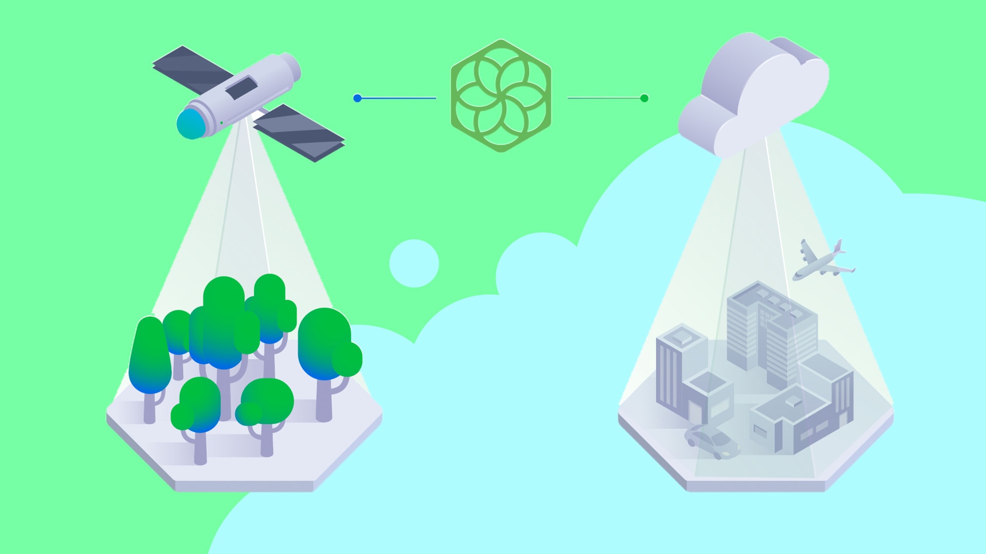 How drones and satellite images are measuring the forests used for ...