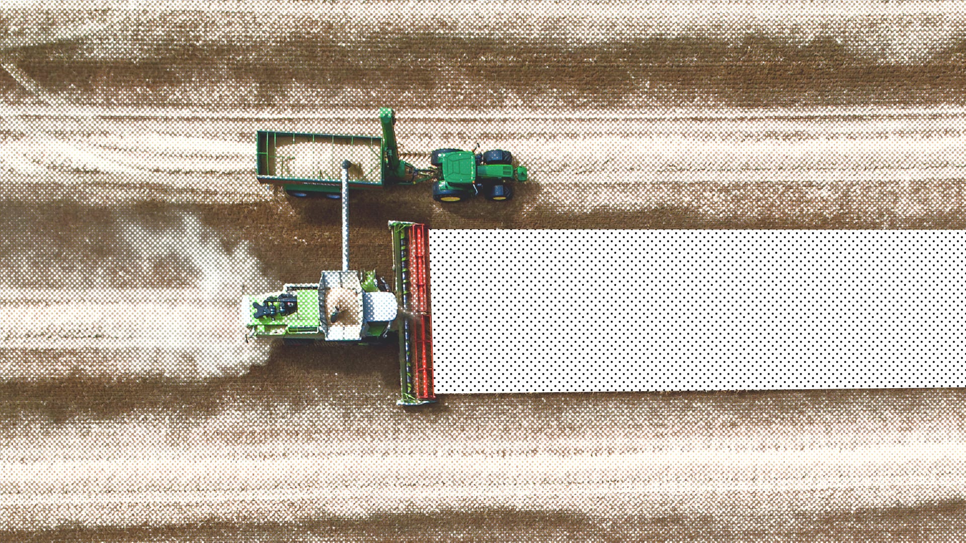 Bill Gates thinks these 5 agricultural hacks can help stop climate ...