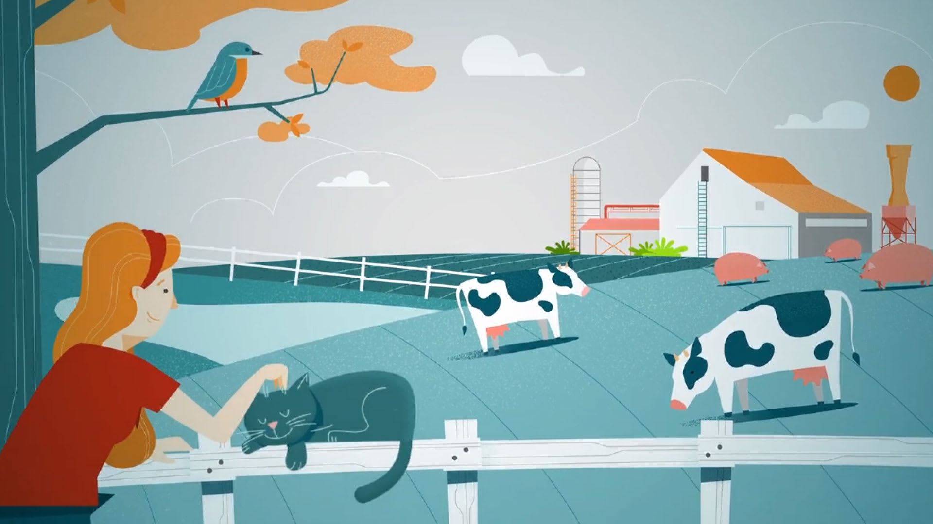 If you care about animals, should you should donate to shelters-or to ...