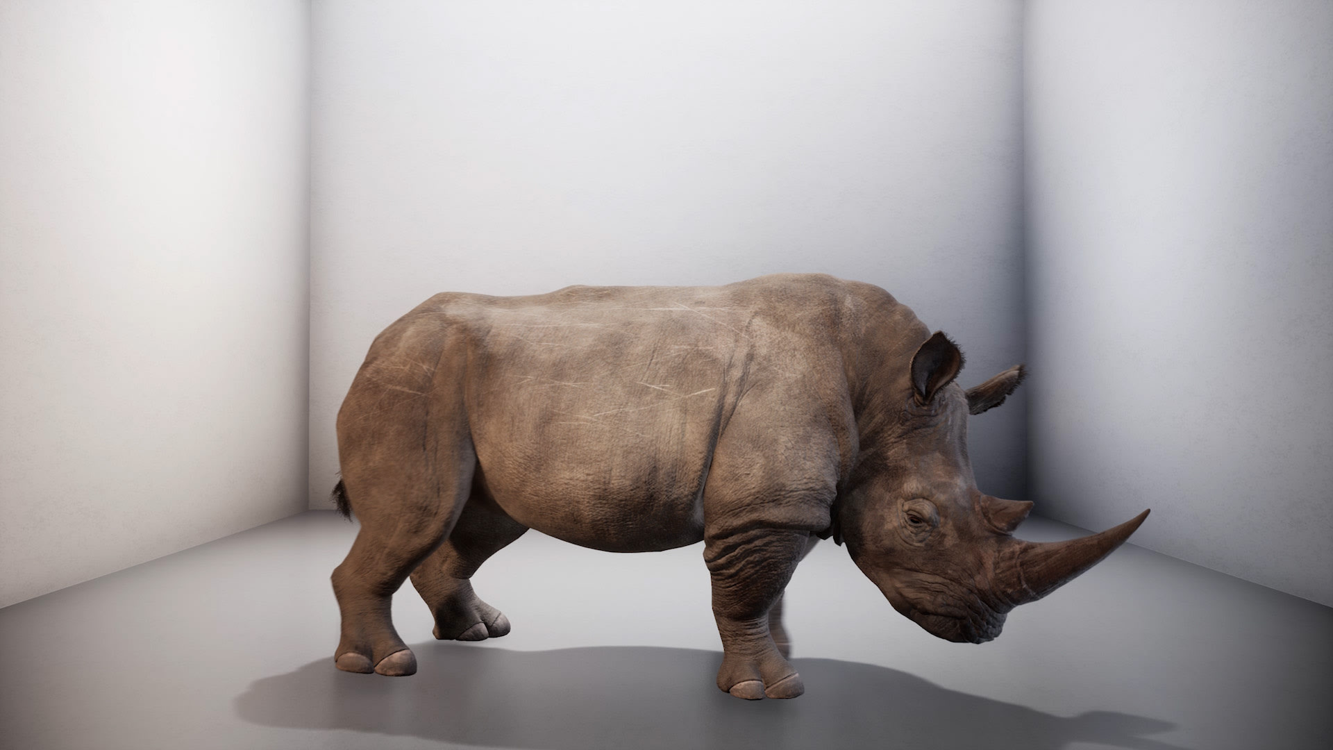 Millions of animals are going extinct-and the race to preserve their ...