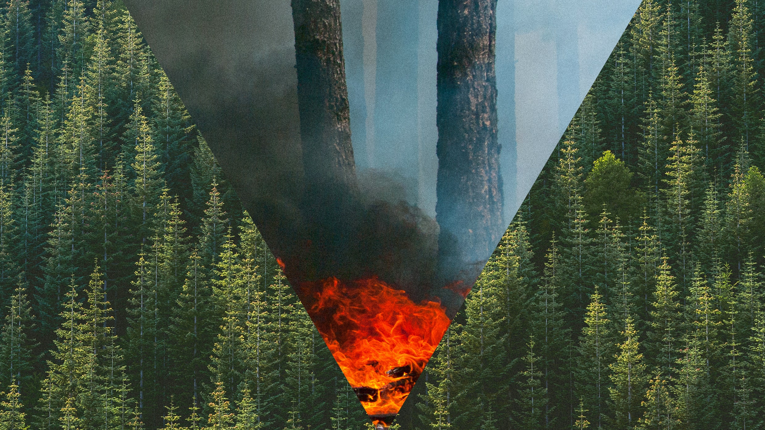 1 million species are at risk for extinction-and humans are screwed ...