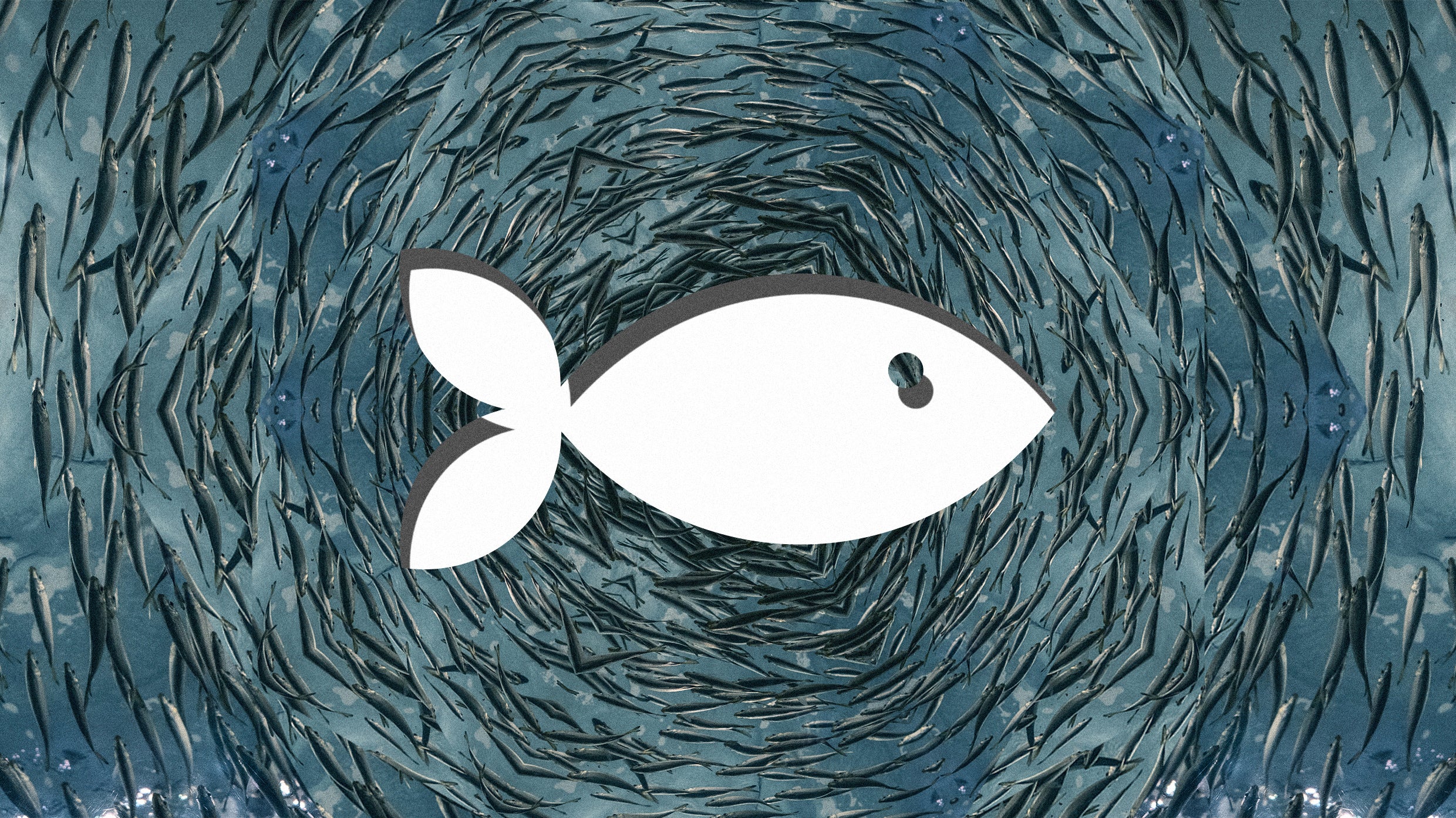 Fish farming could be the center of a future food system - Fast Company