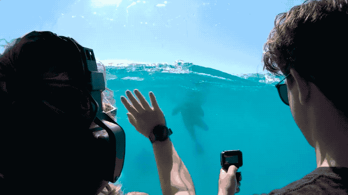 Here's how to win the Australian Uber submarine ride of your deep-sea ...