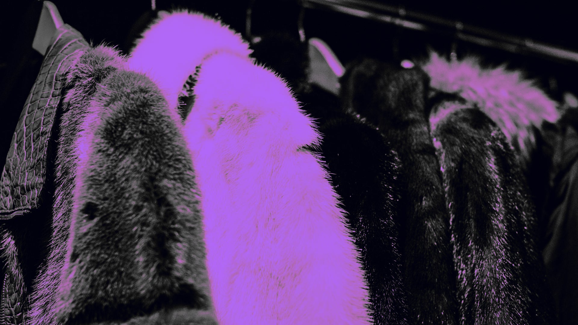 Prada is finally going fur-free - Fast Company