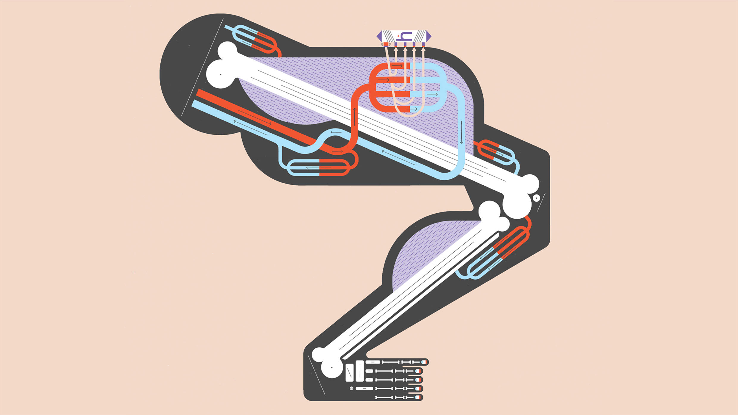 Why NBA athletes are using this device to enhance their training - Fast ...