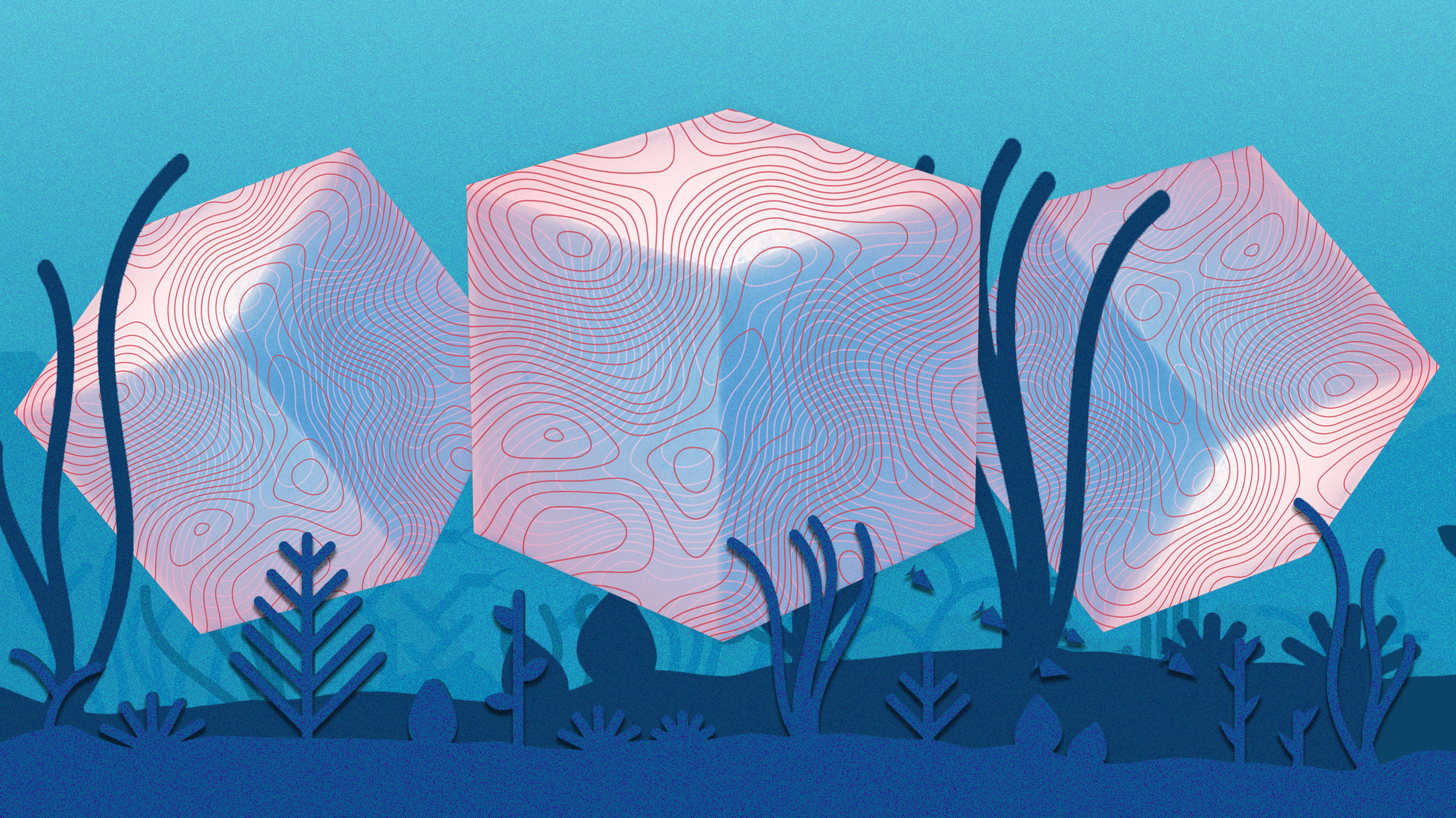 How this marine biologist is saving coastlines around the world - Fast ...