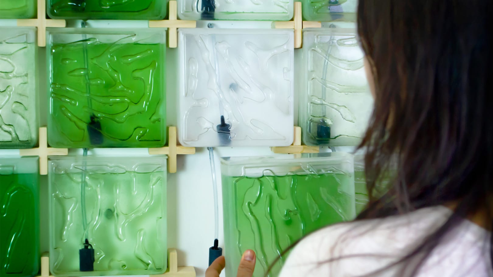 This kit makes it shockingly easy (and pretty) to farm your own algae ...