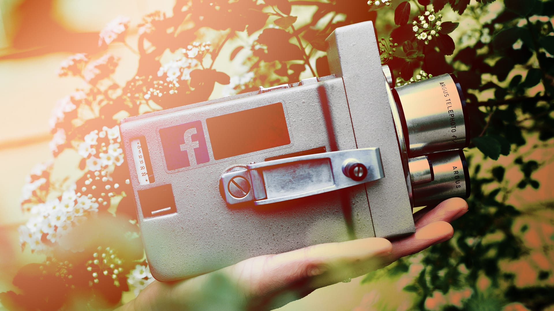 Facebook Watch claims 140 million daily viewers while YouTube struggles ...