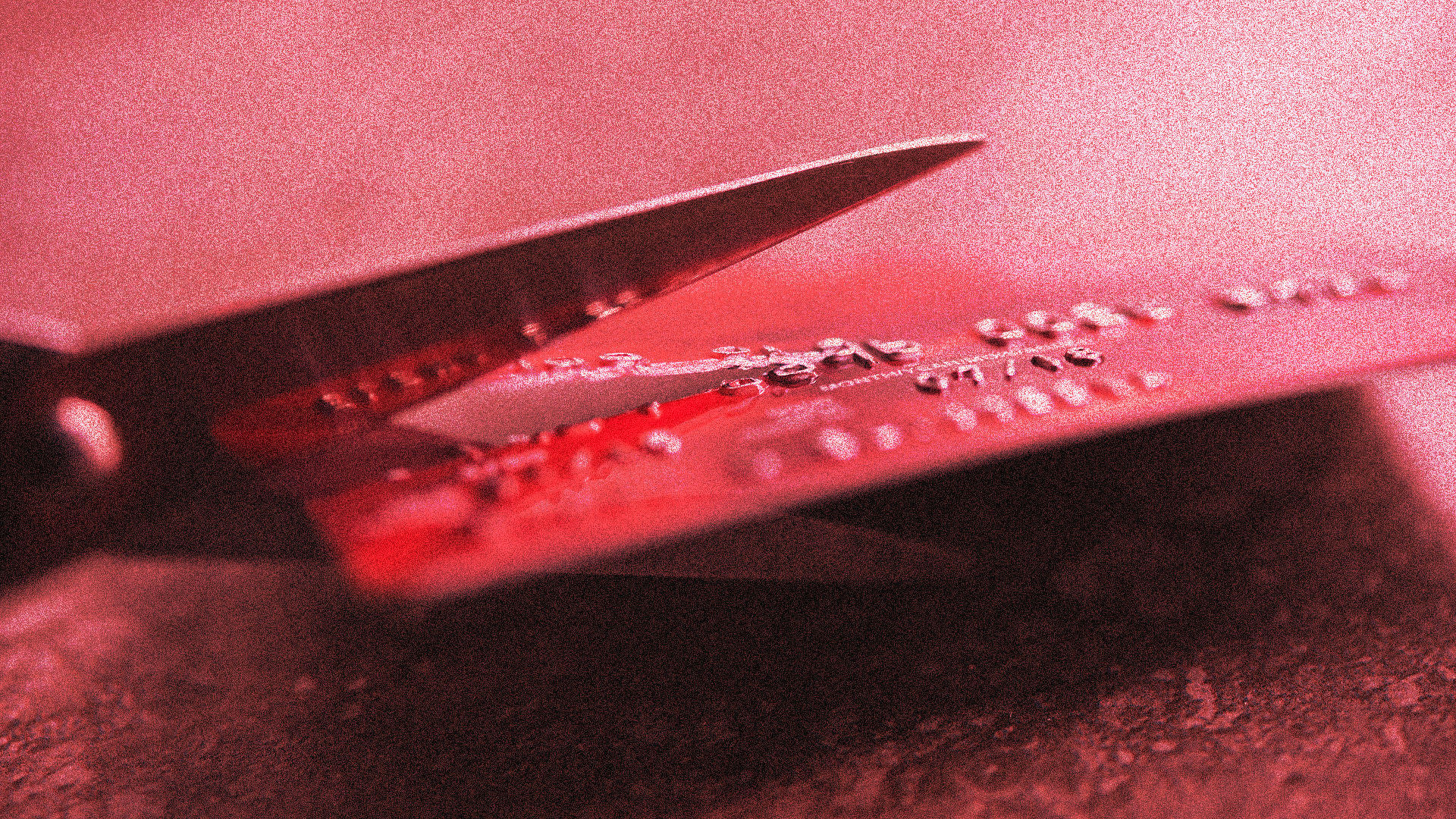 I filed for bankruptcy, and it was the best decision I made - Fast Company