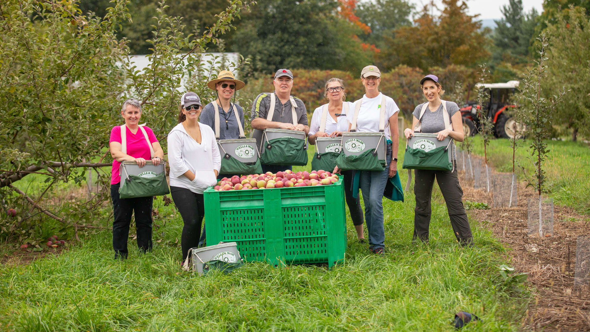 This new accelerator wants to boost the best solutions to food waste ...