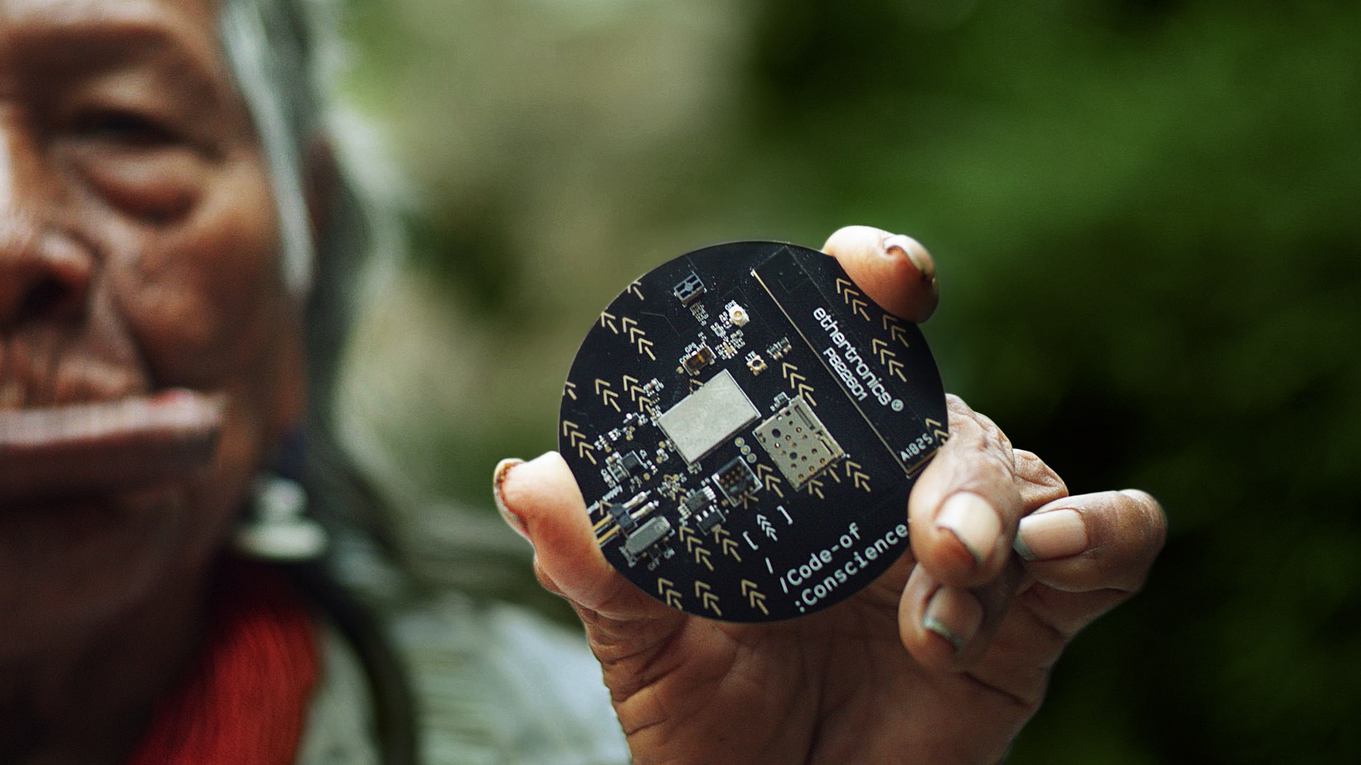 We could help prevent deforestation by simply reprogramming logging ...