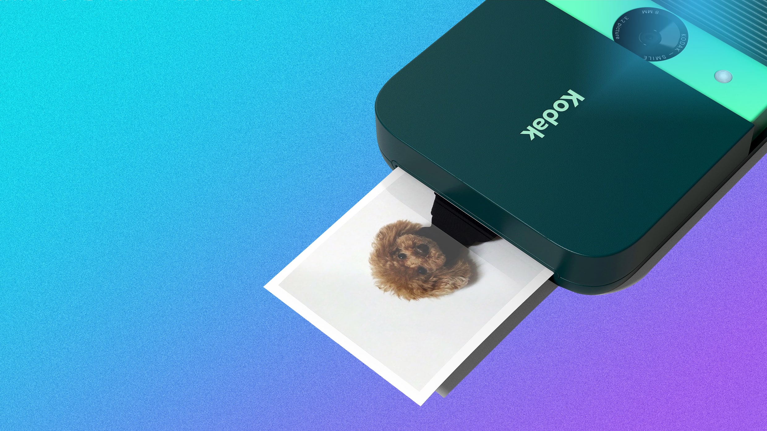 Kodak has instant-print cameras and a palm-size photo printer that ...
