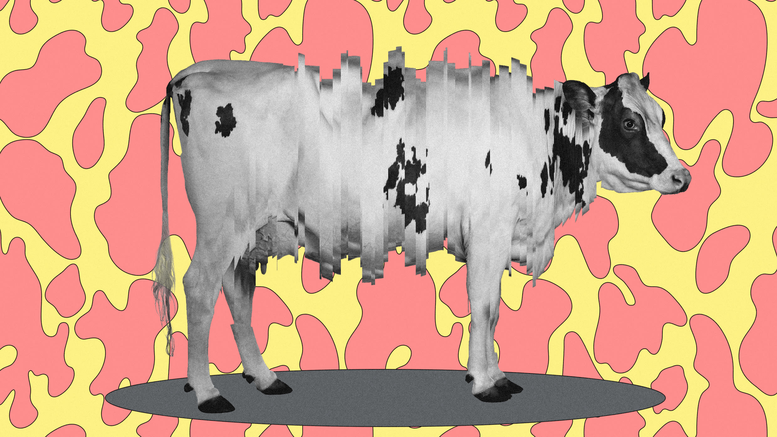 We're very close to disrupting the cow - Fast Company