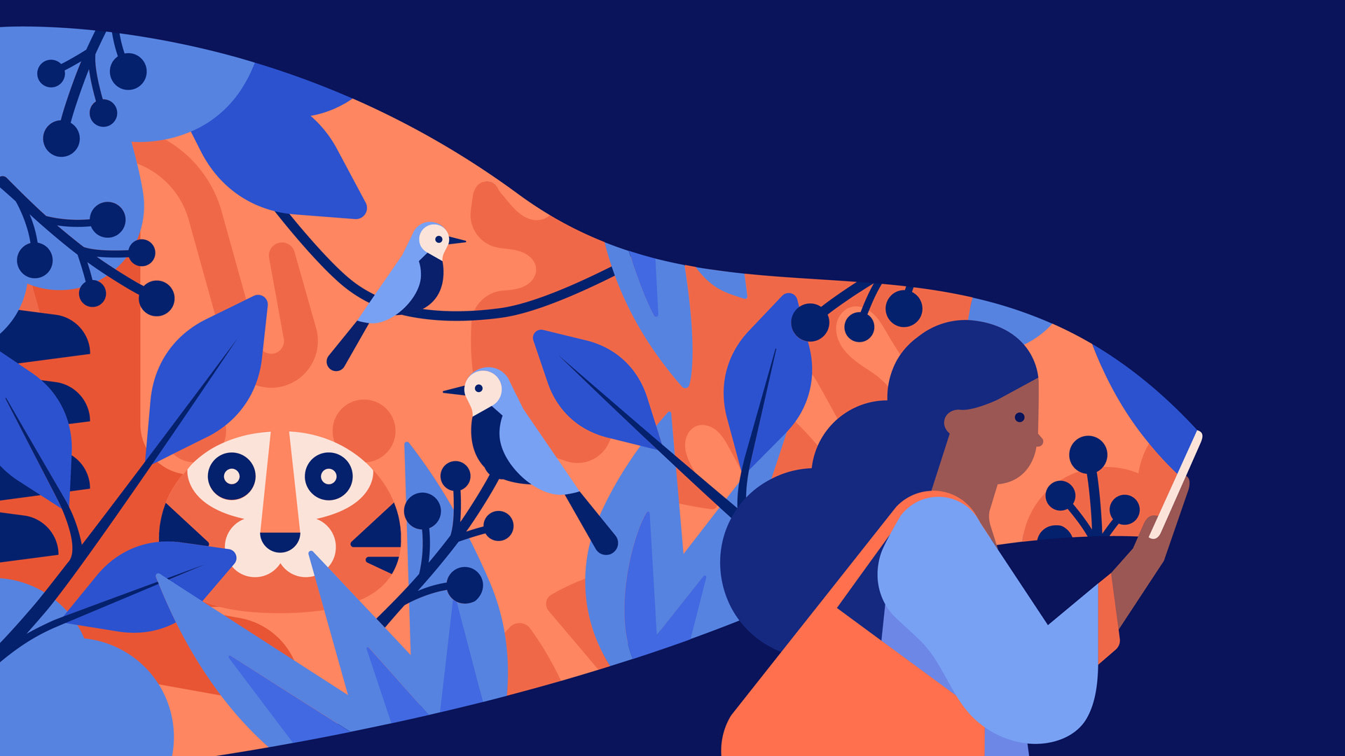 PBS's new brand is anything but radical—and that's the whole point ...