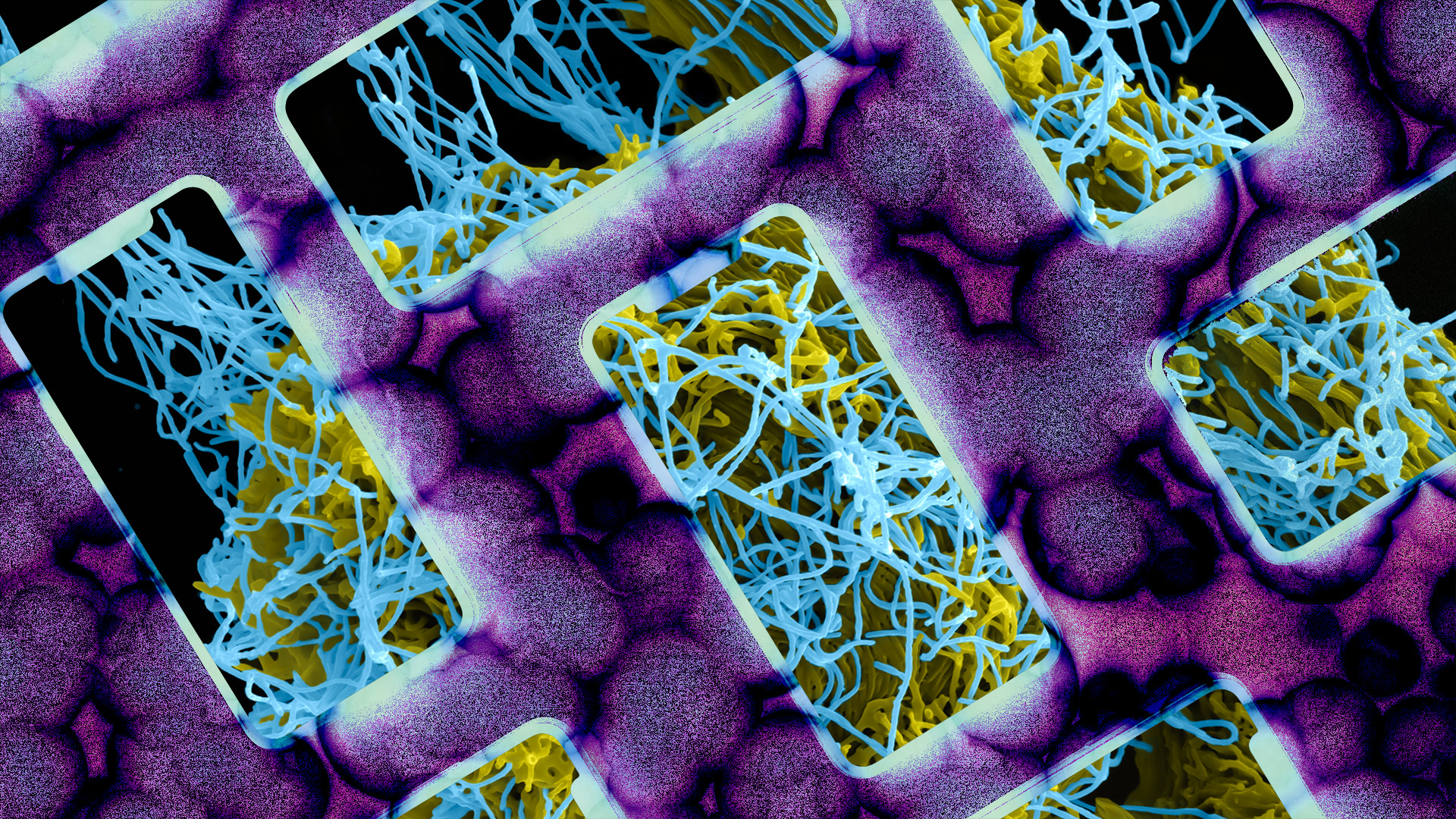 Your iPhone could help track disease—if you let researchers spy on you ...