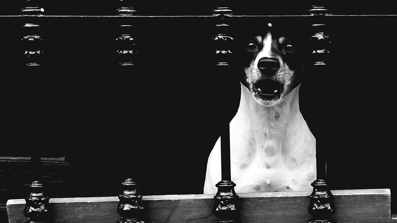 These apps make an iPhone even better at protecting your privacy - Fast ...