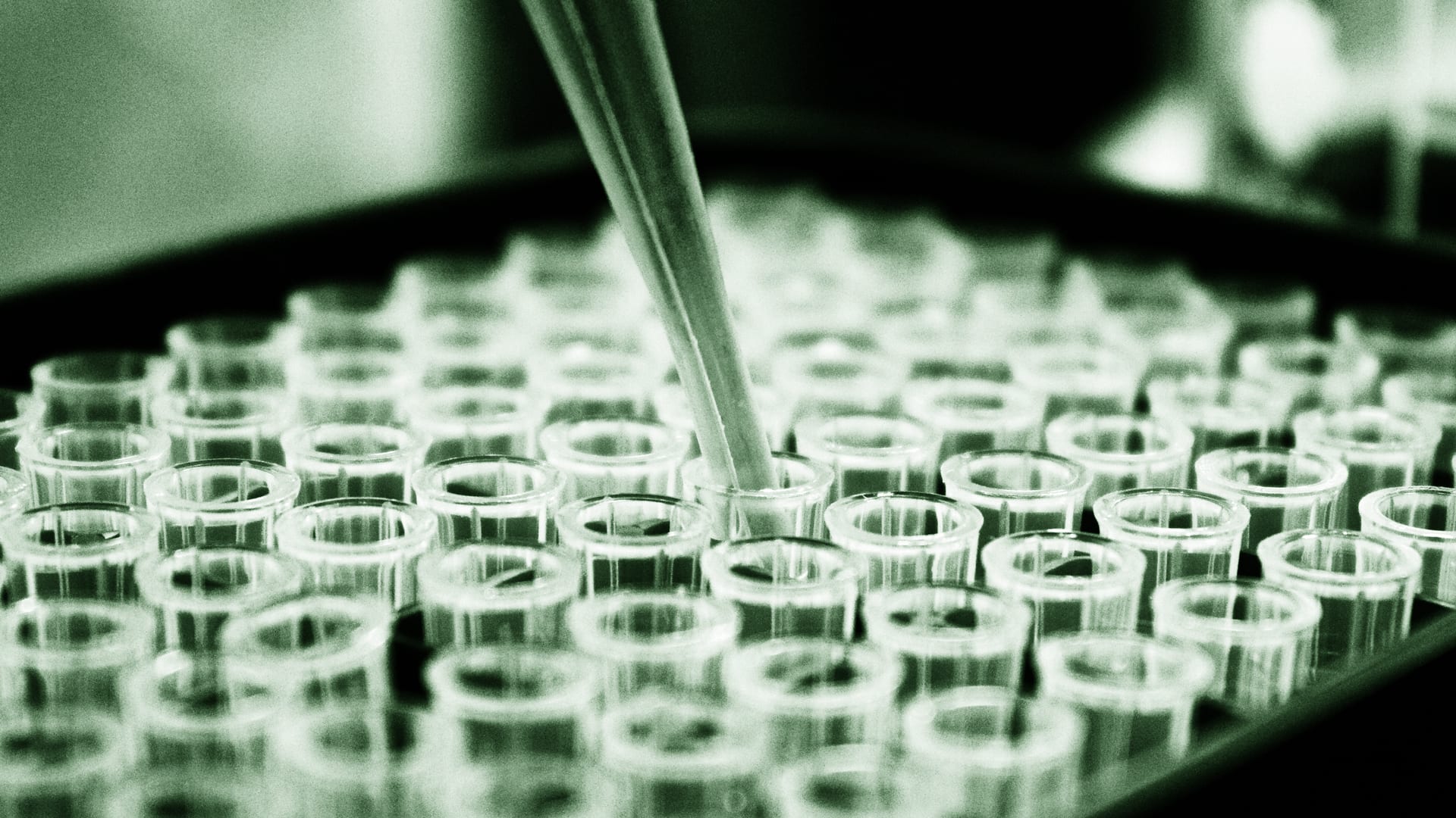 Whooping cough is now a superbug, and China's mystery virus just spread ...