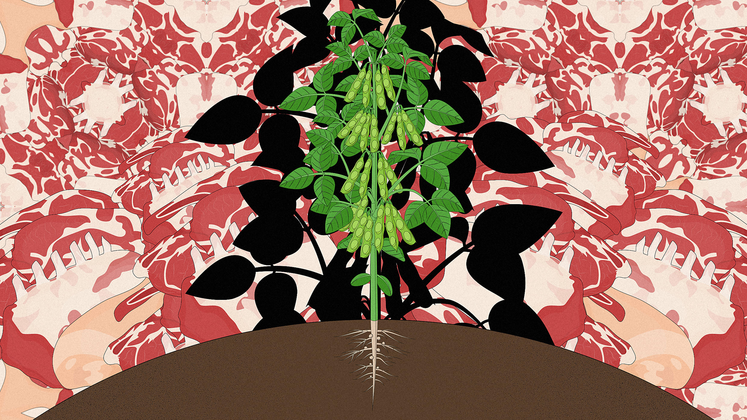 This graph will show you the carbon footprint of your protein - Fast ...