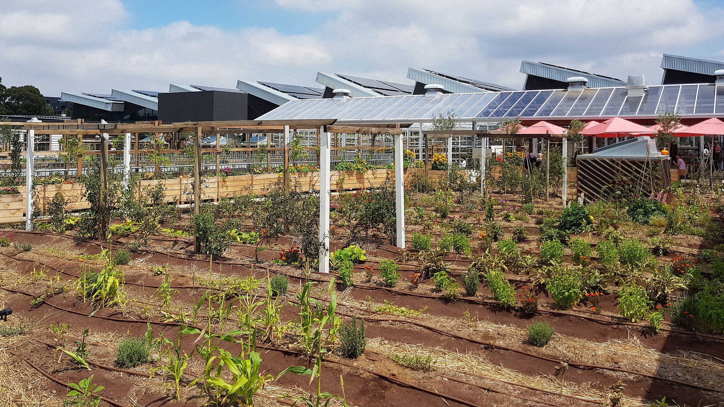 Check out the Australian shopping center that's touted as the most ...