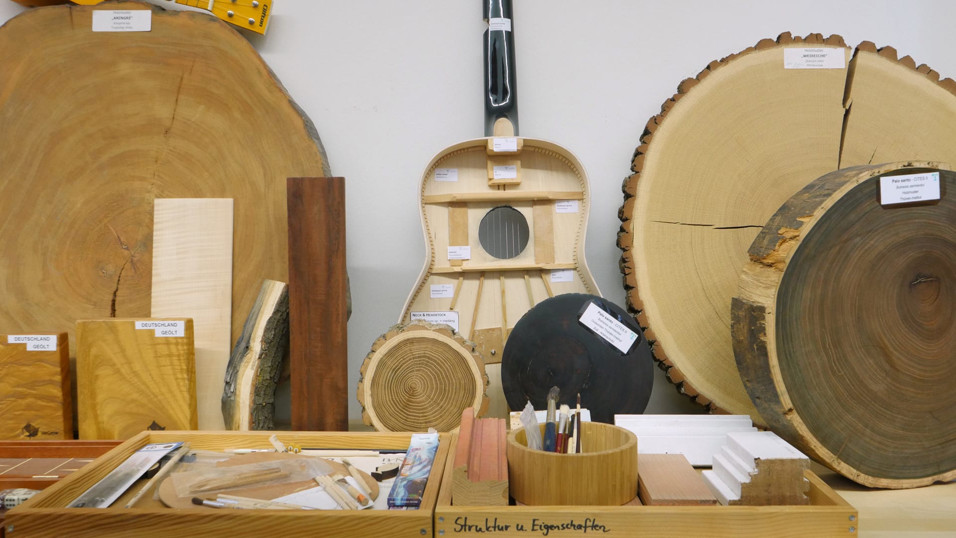 Timber is having a moment. Should it? - Fast Company