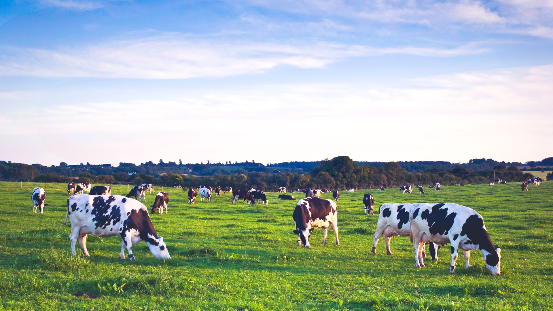 Our relationship with the food system has always been complicated ...