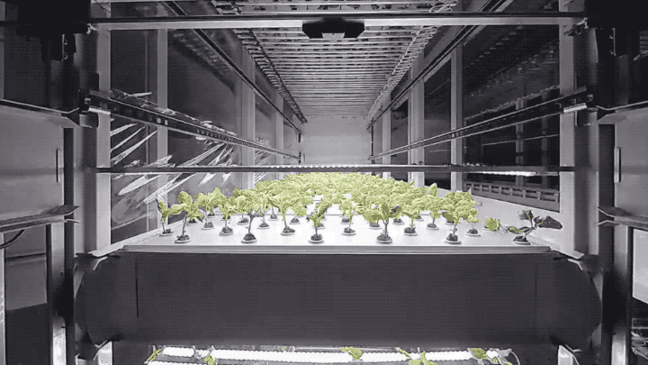 This vertical farm lets you subscribe to your own plot of indoor-grown ...