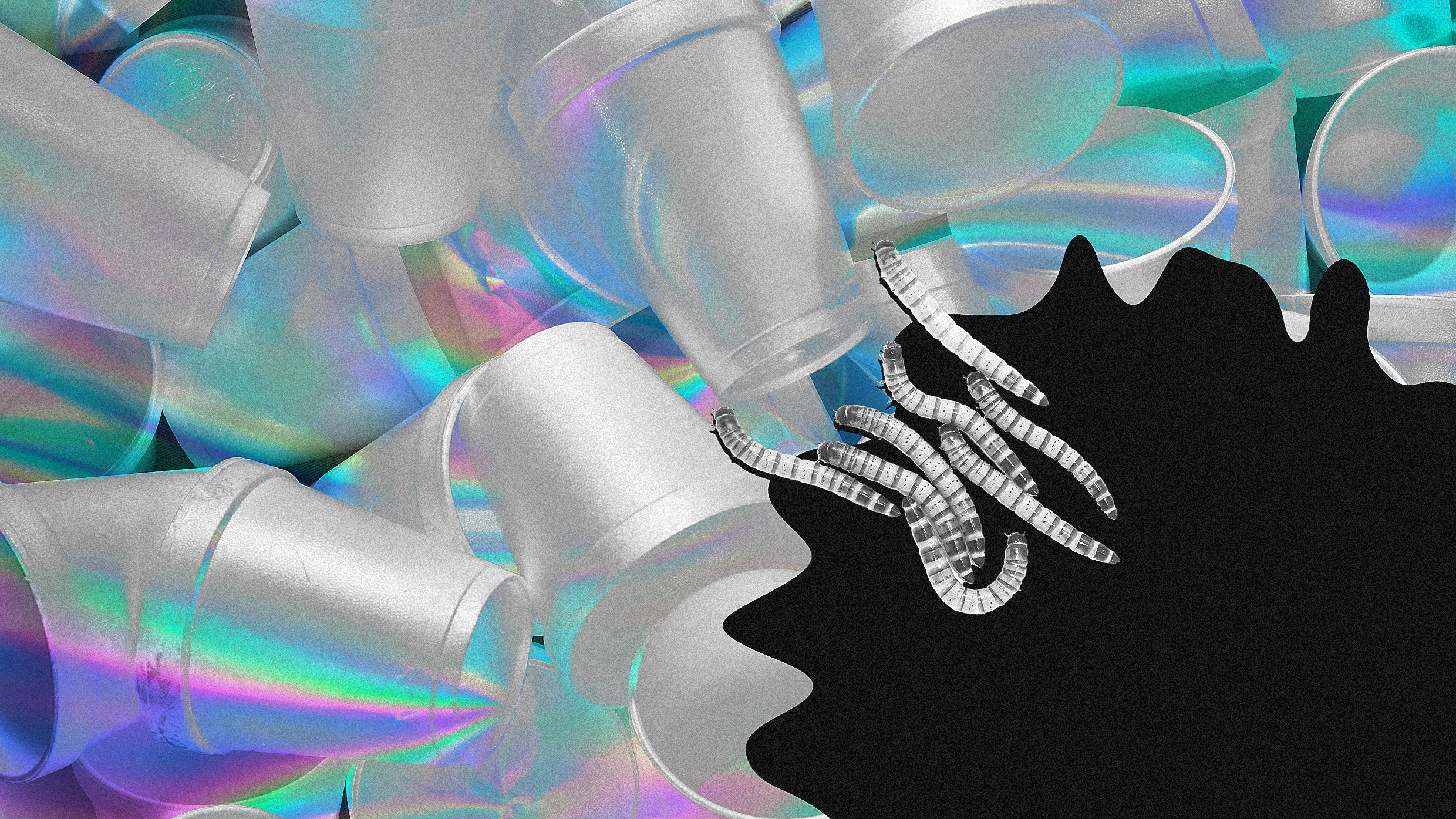 These hungry superworms happily munch through plastic - Fast Company