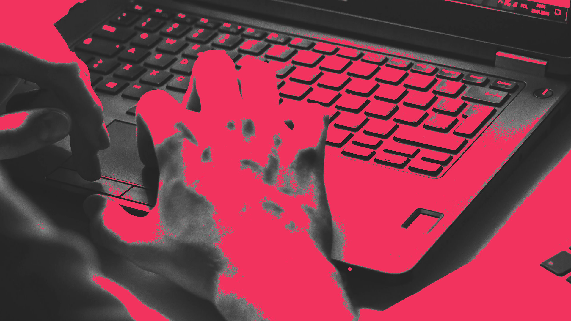 Report: Racial justice groups hit by more cyberattacks during George ...