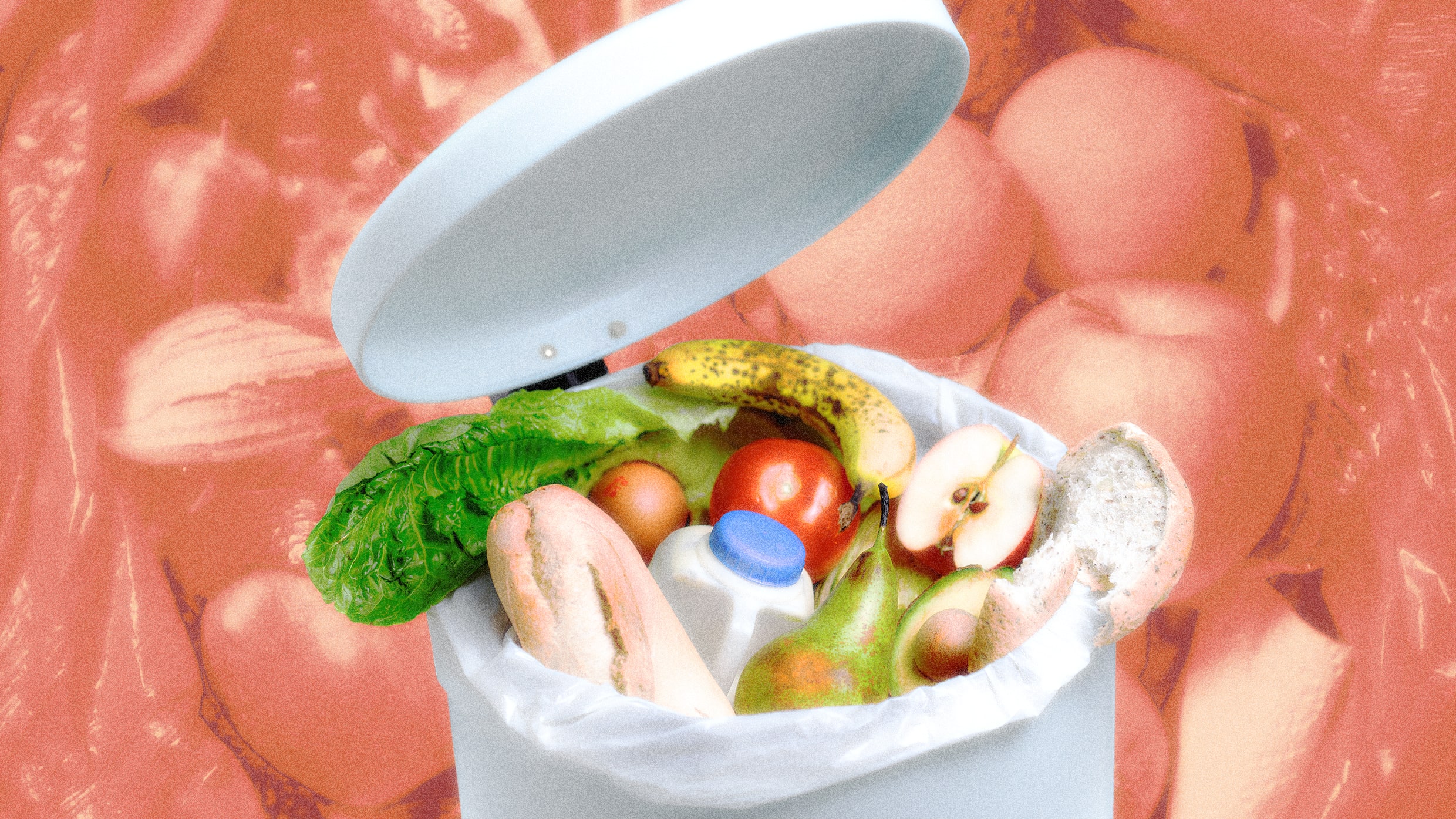 Vermont just banned food waste in trash. Here's how it works - Fast Company