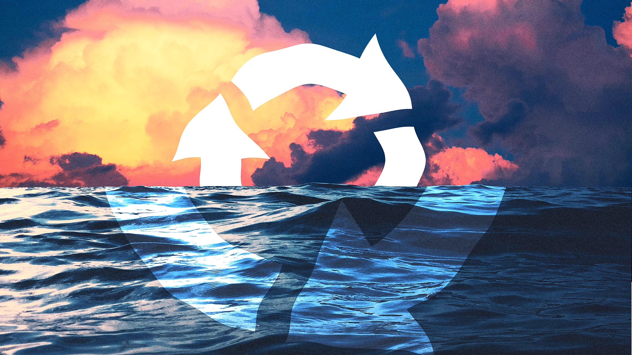 Every $1 invested in ocean sustainability generates $5 of benefits for ...