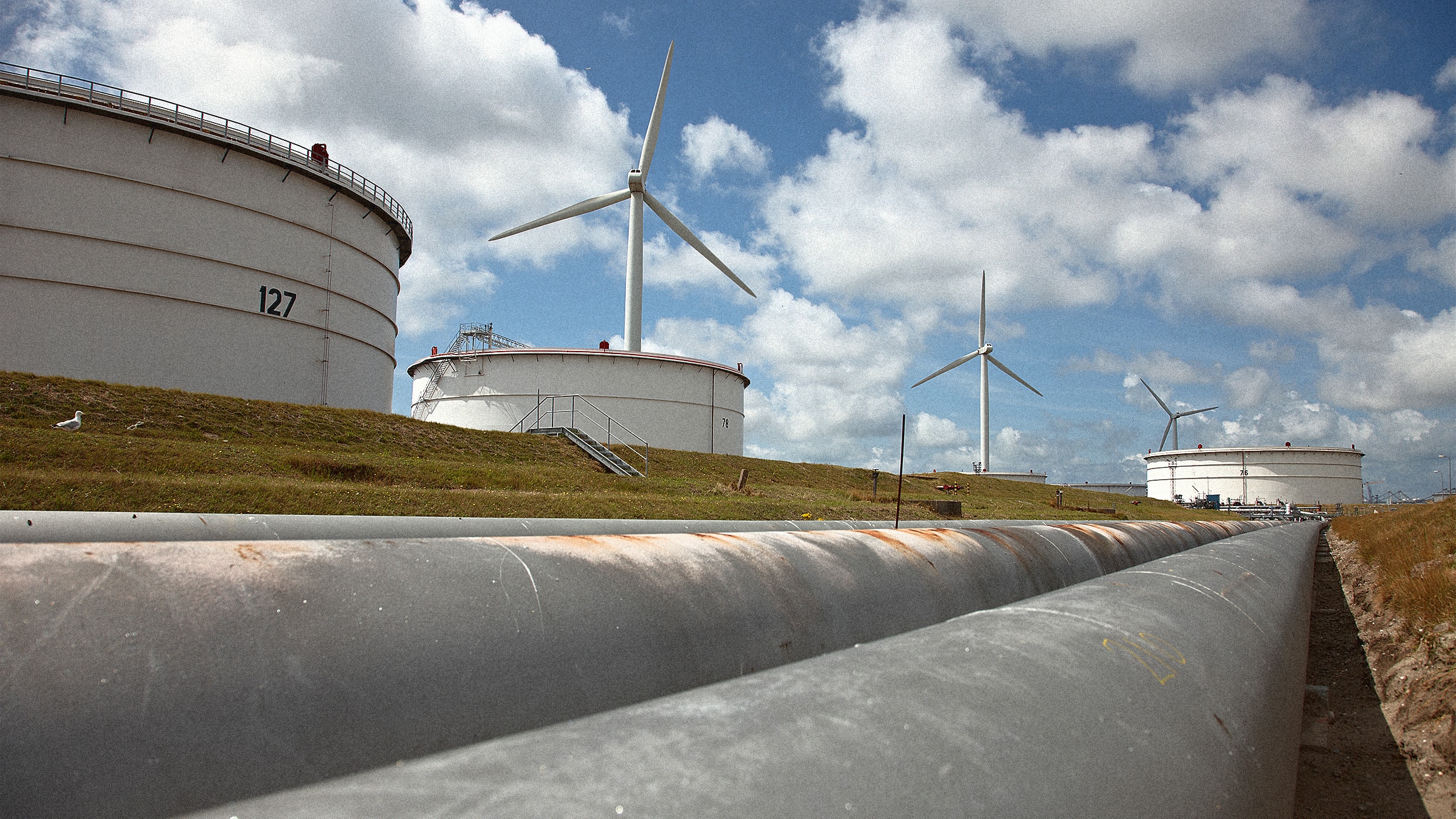 BP wants to become the world's largest renewables producer (but still ...