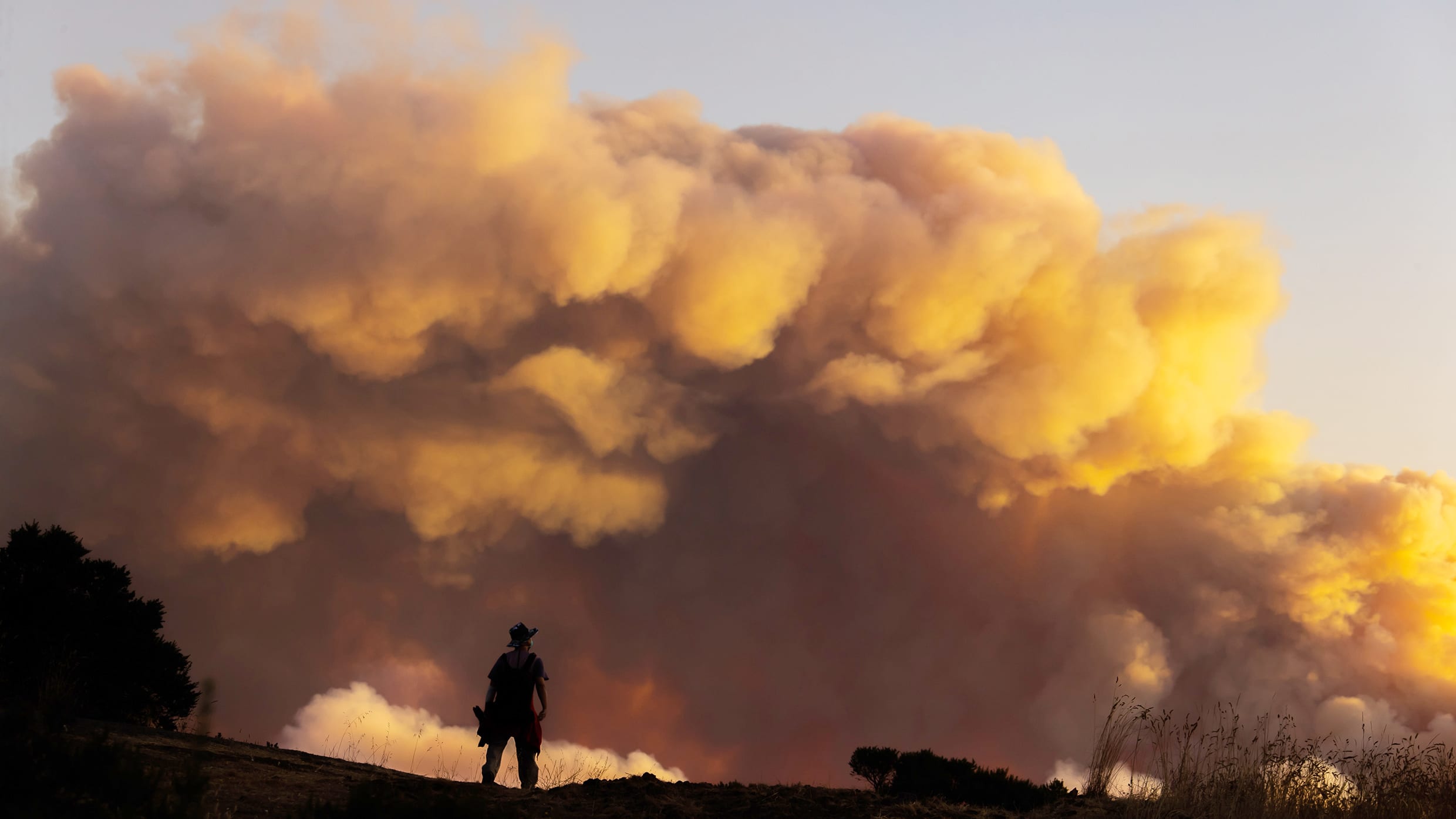 Why Is Wildfire Smoke So Bad For Your Lungs Fast Company