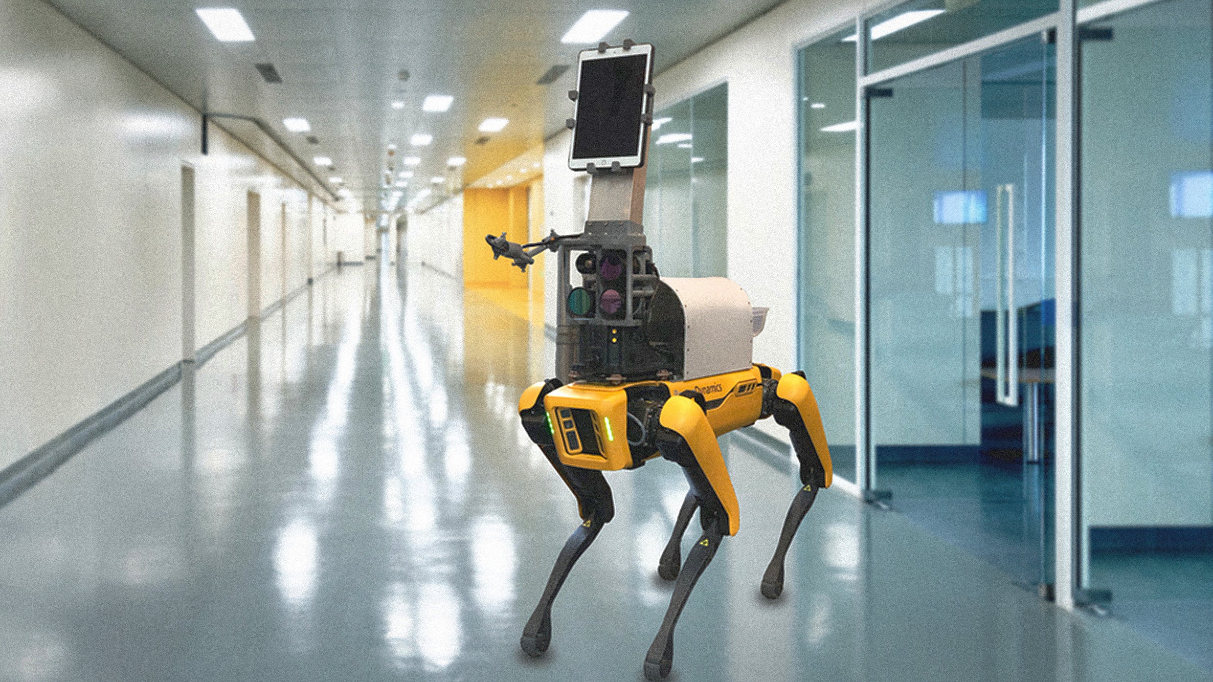 If you're in the hospital with COVID-19, this robot dog might come take ...