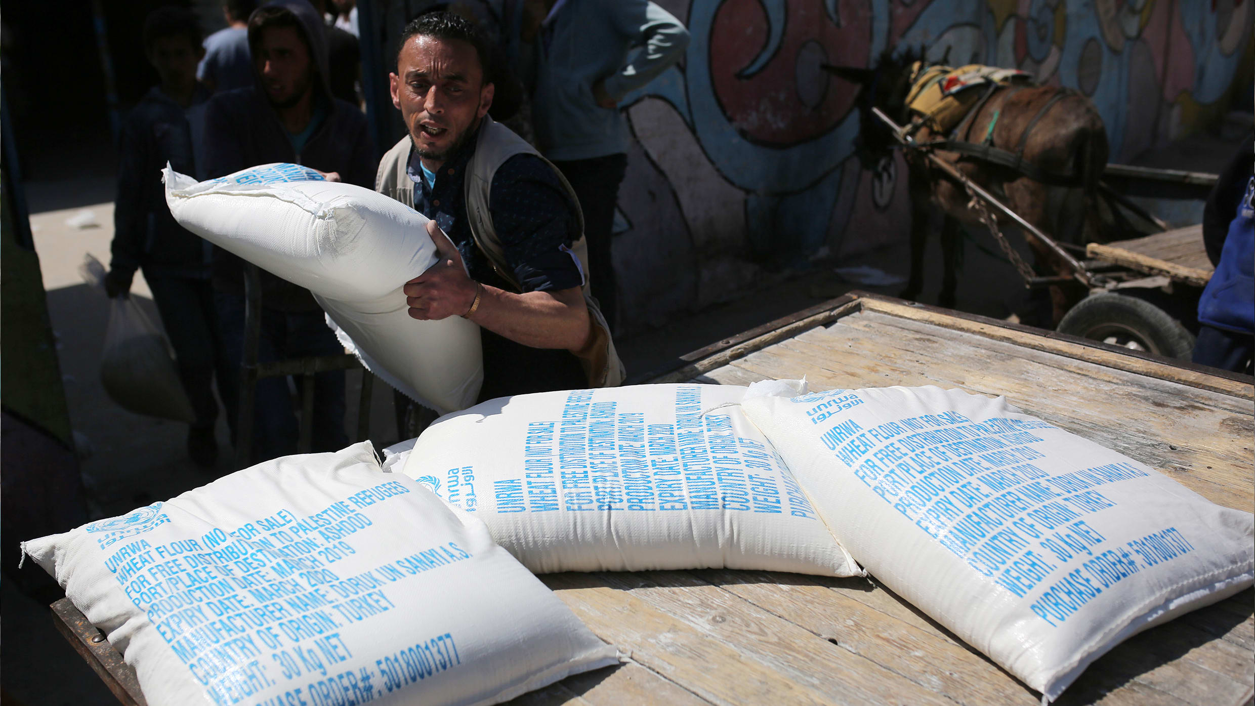 What the United Nations World Food Program's Nobel Peace Prize win says ...