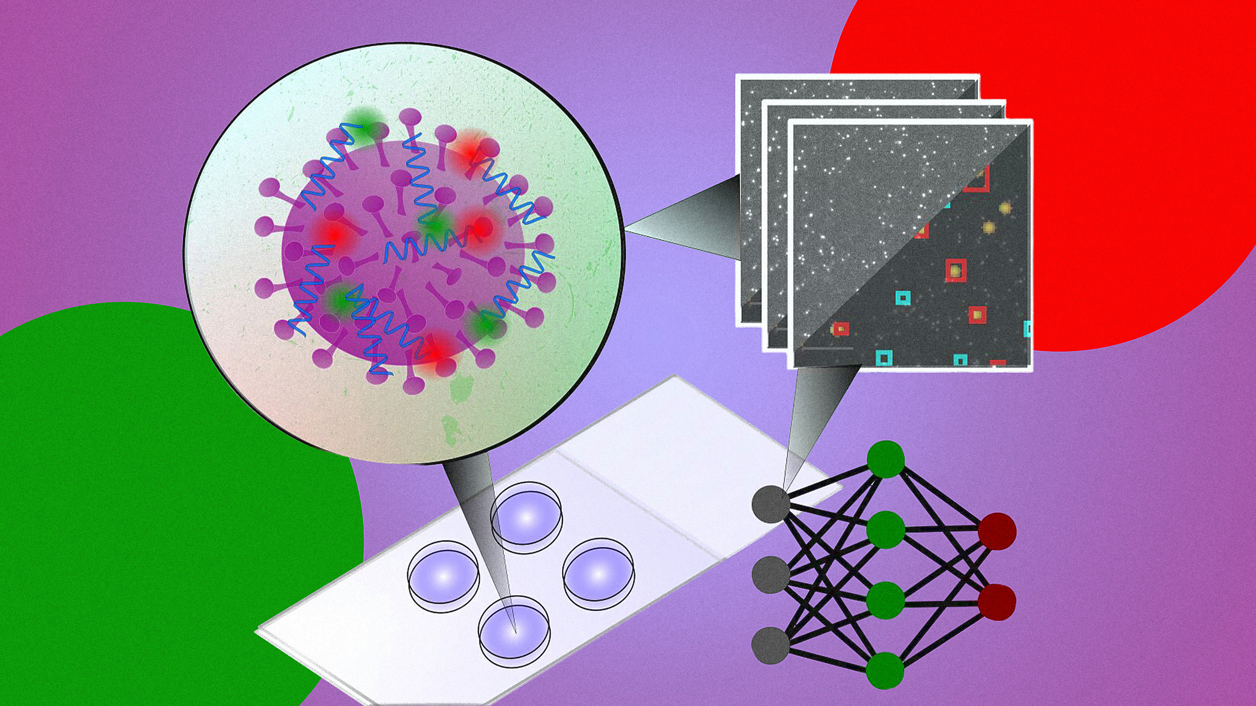 This ultra-fast, low-cost COVID test could give accurate results in ...
