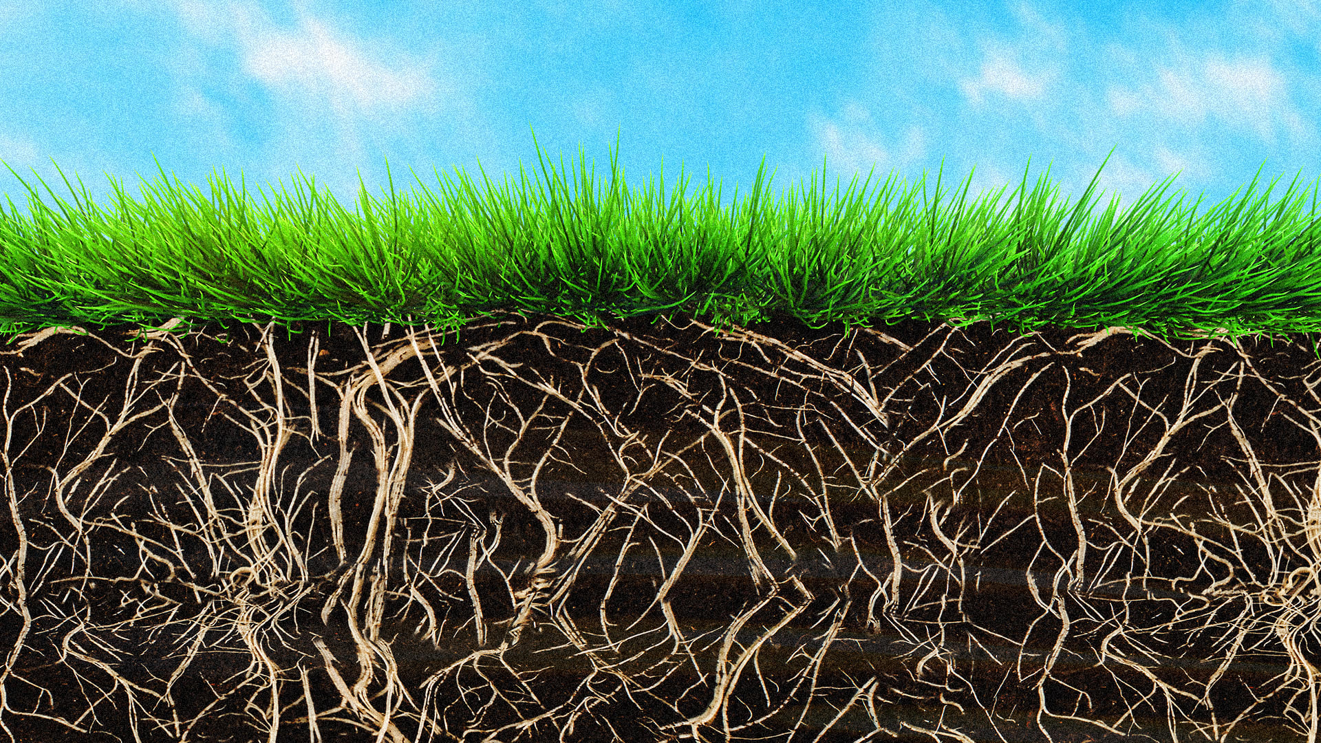 These biological batteries generate renewable energy from the ground ...