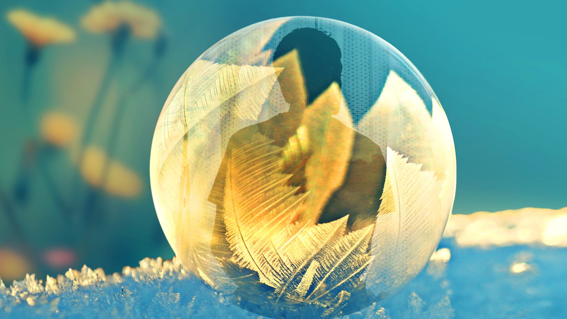 An introvert's guide to surviving pandemic isolation and enjoying alone ...