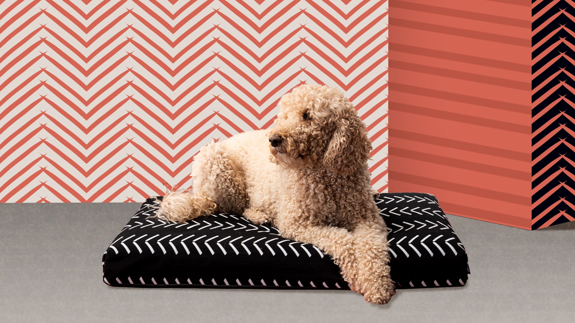 These 13 pet gifts will delight the dog and cat lovers in your life—or ...