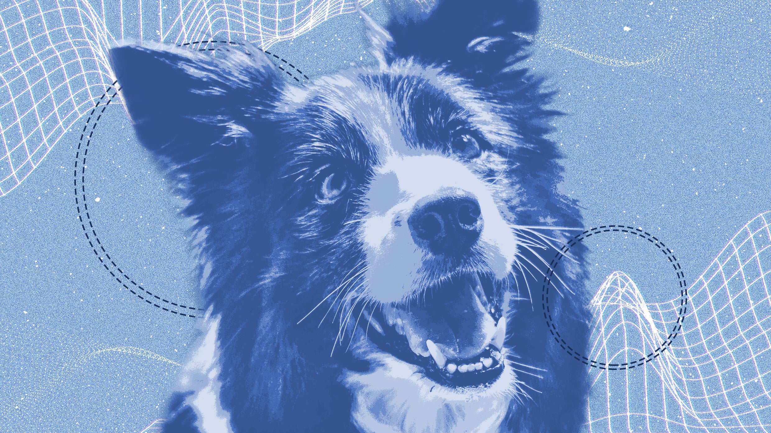 Watch this AI help train a dog—and reward him with a treat - Fast Company